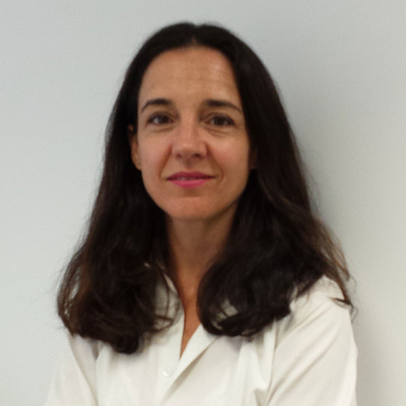 La mujer de Isla Negra, de María Fasce, reseña